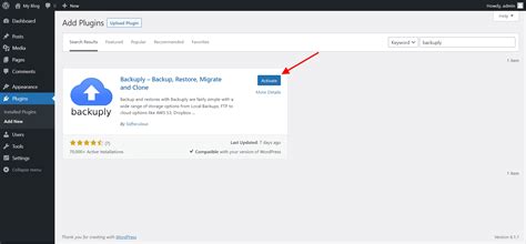 How to backup your WordPress site (4 easy ways) – Backuply