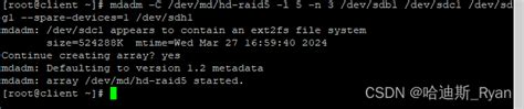 在linux中组建raid5 linux raid5 csdn博客