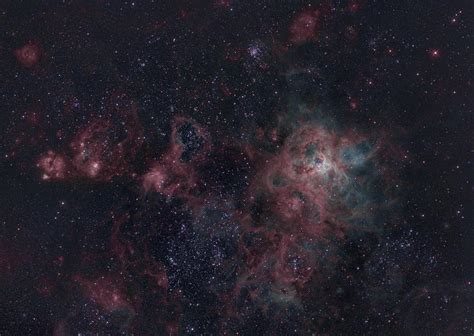 30 Doradus The Tarantula Nebula Photograph By Marius Ciprian Oltean