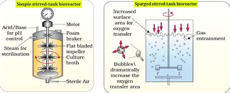 Biotechnology Principles And Processes Revision Notes Cbse Class 12 Biology 2023 24 Based On