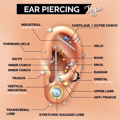 Body Piercing Name Chart