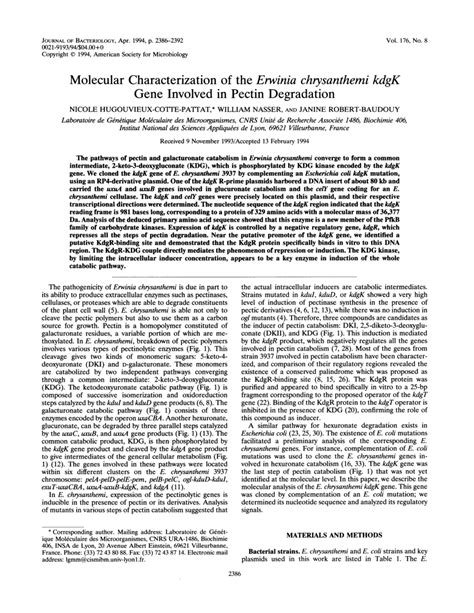 Pdf Molecular Characterization Of The Erwinia Chrysanthemi Kdgk Gene Involved In Pectin