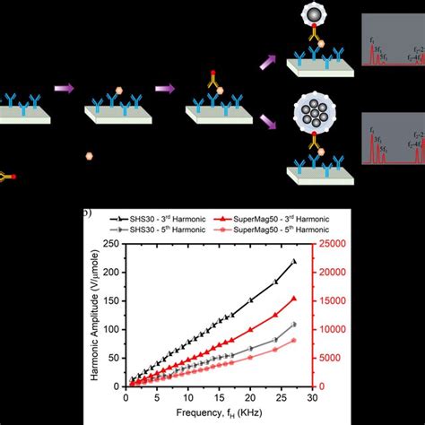 A Schematic Representation Of A Surface Conjugation Based Mps Download Scientific Diagram