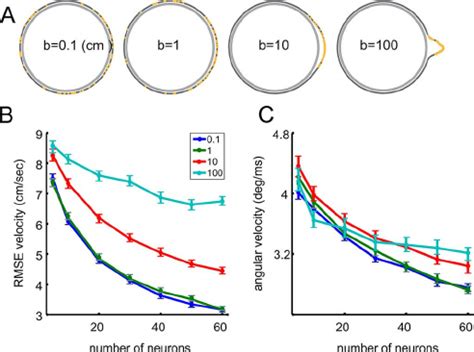 Neuron Count And Tuning Curve Distribution Affect Smoothness To Varying Download Scientific