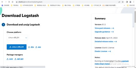 Elk详解（六）——logstash部署与简单应用logstash下载 Csdn博客