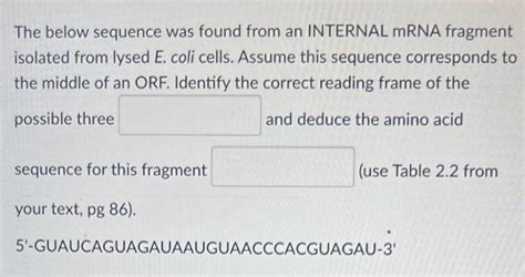 Solved The Below Sequence Was Found From An INTERNAL MRNA Chegg