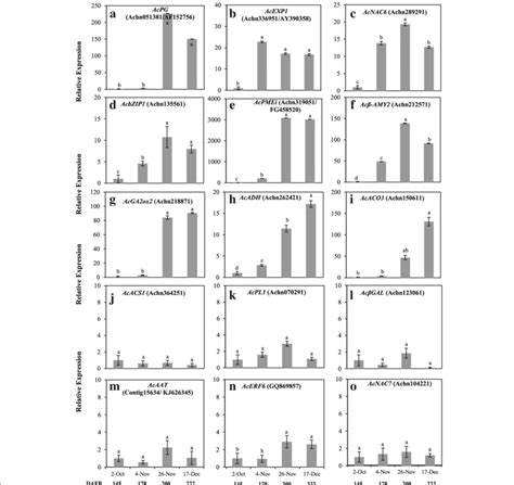 Reverse Transcriptase Quantitative Pcr Analysis Of Selected Genes Download Scientific Diagram