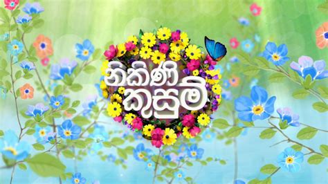 නිකිණි කුසුම් Nikini Kusum Official Fan Club