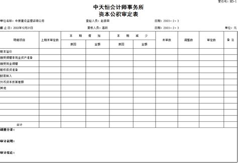 审计表格模板下载 Excel表格制作审计 我拉网