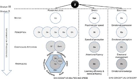 Cattell Horn Carroll Chc Theory Of Cognitive Abilities With Emotional Download Scientific