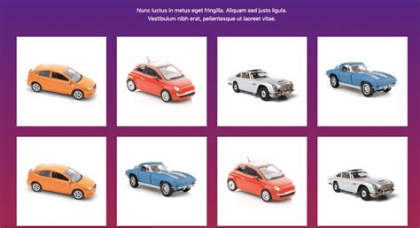 Bootstrap 3 Portfolio Gallery With Filtering Category Example