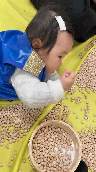 병아리콩 가지고 노는 아기 병아리 Youtube