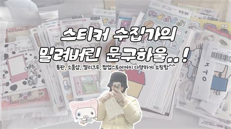 문구하울 어쩌다보니 스티커 수집가 🛍️ 귀여운거 잔뜩 샀어요 🤗 Youtube