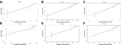 The Calibration Curve For Internal And External Validation Of The