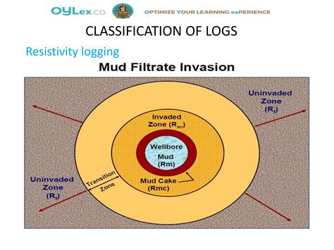 Classification Of Logs Pptx Geology Science