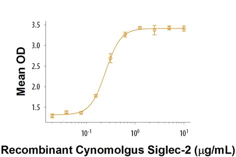 Recombinant Human Siglec 2 Cd22 Fc Chimera Protein Cf 1968 Sl 050 Randd Systems