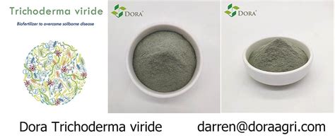 Trichoderma Viride Biopesticide Application In Agriculture