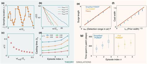 Alternation Emerges As A Multi Modal Strategy For Turbulent Odor Navigation Elife