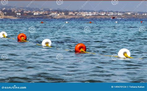 Red Buoys On The Sea Surface Swimming Restrictions For People Stock