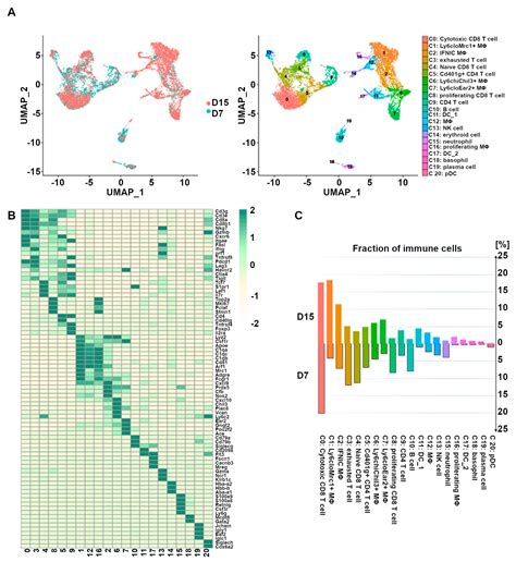 Rna Sequencing