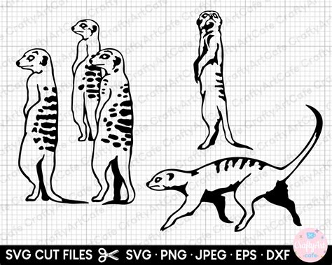 Suricata Svg Suricata Png Suricata Jpeg Suricata  Suricata Etsy México