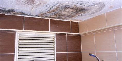 10 Warning Signs Of Mold Toxicity In South Florida A Helpful Guide