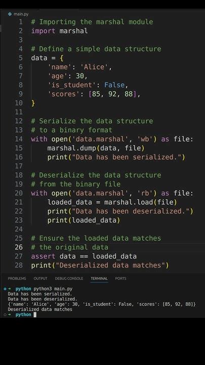 Python Marshal: Fast and Efficient Data Serialization - YouTube