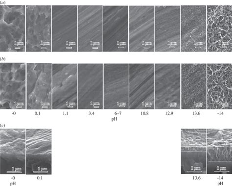 A Before And B After Heat Treatment Fe Sem Photographs Of Surfaces Download Scientific