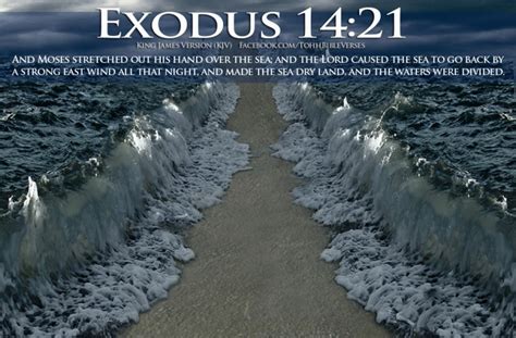 Exodus 1421 Kjv Kristi Anns Haven