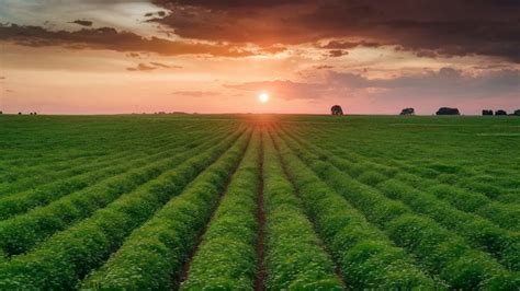 Hsrc Human Sciences Research Council On Linkedin Hsrc Researcher