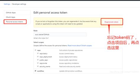 Idea工具避坑指南八：github登录下载安装 Invalid Authentication Data404 Push时
