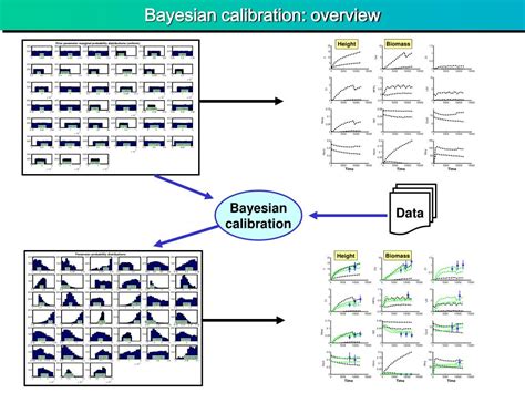 Ppt Bayesian Calibration And Comparison Of Process Based Forest Models Powerpoint Presentation
