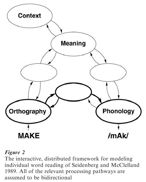 Cognitive Neuroscience Research Paper Iresearchnet