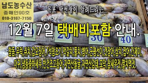 12월7일판매생선 자연산회참돔우럭쥐치 갑오징어 7석참조기 5미먹갈치 풀치 병어 군평선이 갯장어 고시목포 남도농수산 탁선장 010 3167