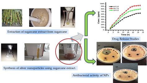Polymers Free Full Text A Green Approach For The Synthesis Of Silver Nanoparticle Embedded