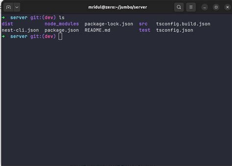 No Icons In Tmux Vim And Shell Rneovim