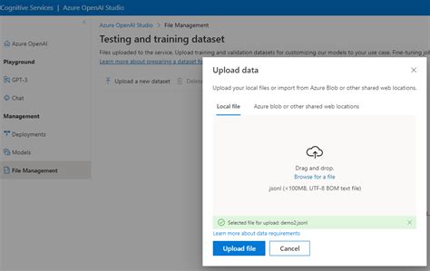 openai testing and training dataset error microsoft qanda