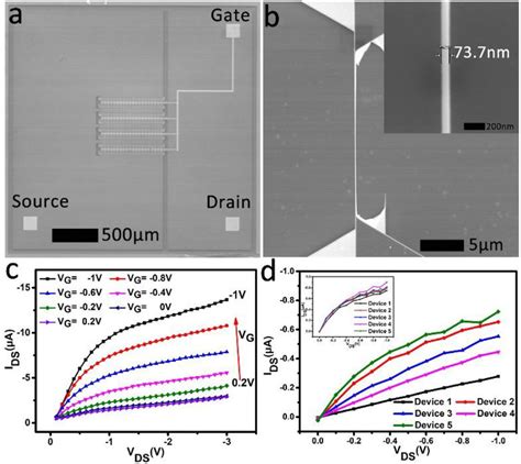 Morphological And Electrical Characteristics Of Silicon Nanowire Download Scientific Diagram