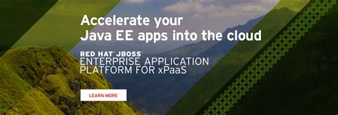 JBoss Developer