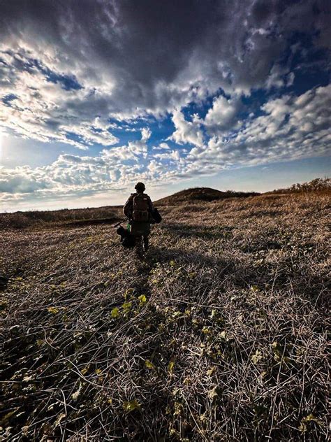 ЗСУ збили ворожий гелікоптер Ка 52 та безпілотник «Мерлін ВР на східному напрямку фронту