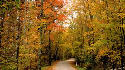 Not So Spooky Season Why Fall Weather Is A Favorite