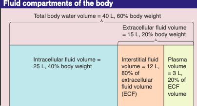Recording Fluid Intake And Output And Fluid Balance Charts Flashcards Quizlet