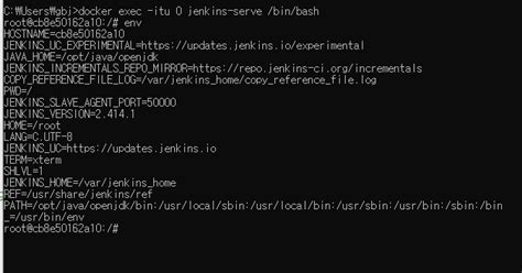 Docker 컨테이너로 Jenkins 설치하기