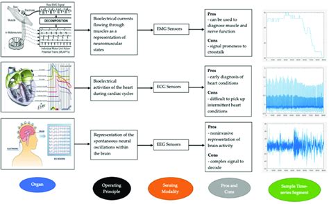 Summary Of The Various Physiological Organs Their Basic Operating Download Scientific Diagram