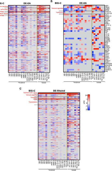 Figure 4 From Analysis Of Trans Ancestral Sle Risk Loci Identifies