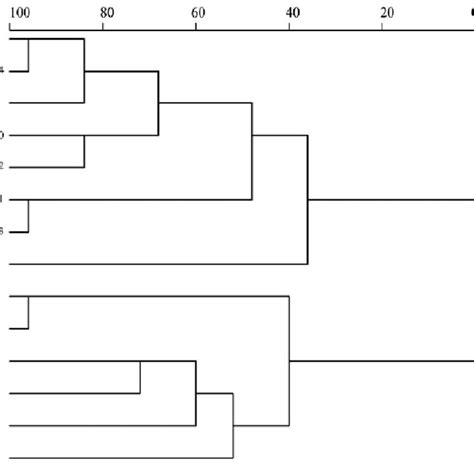 Dendrogram Based On Upgma Analysis Of Genetic Similarity Of 14 Durian