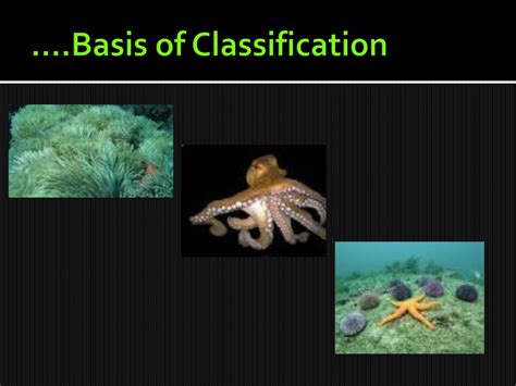 Ppt Diversity In Living Organism Powerpoint Presentation Free