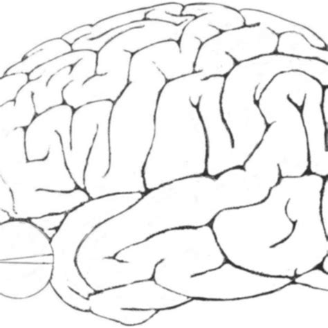 Typical Classical Receptive Fields Of Neurons Early In The Visual Download Scientific Diagram
