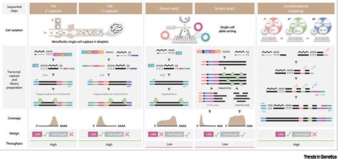 Opportunities And Tradeoffs In Single Cell Transcriptomic Technologies Trends In Genetics