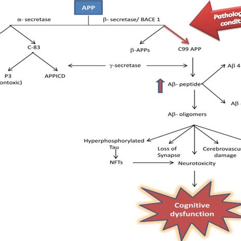 Diagrammatic Presentation Of App Processing Pathways 1 Download Scientific Diagram
